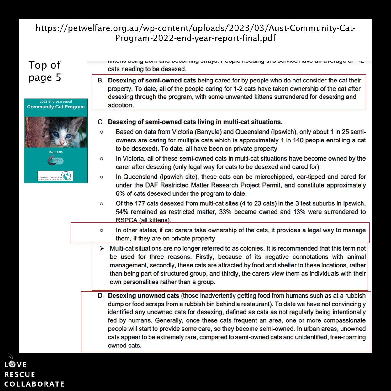 Cats: Terms & definitions and why these are important – LRC