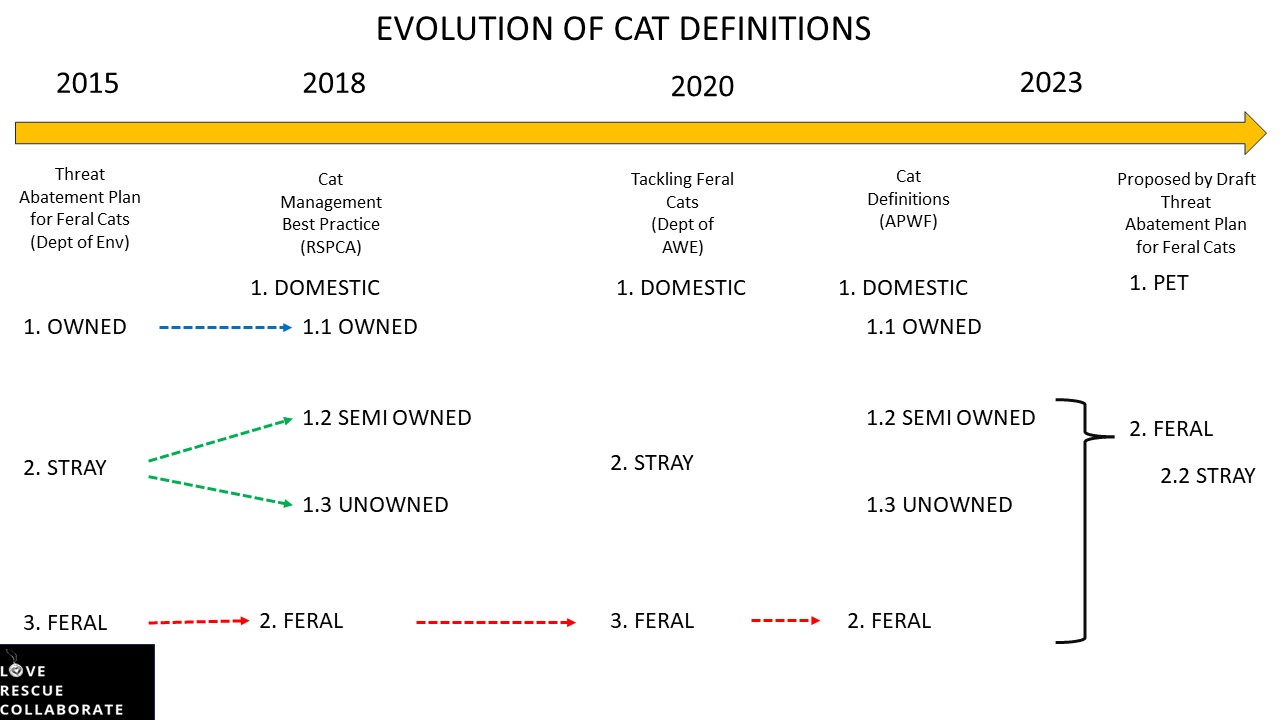 Cats: Terms & definitions and why these are important – LRC