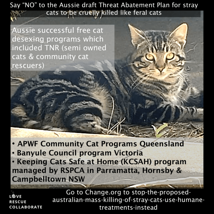 TNR is not a dirty word – LRC