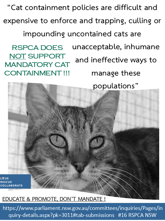 RSPCA NSW Cat Containment: Educate & promote, do not mandate – LRC